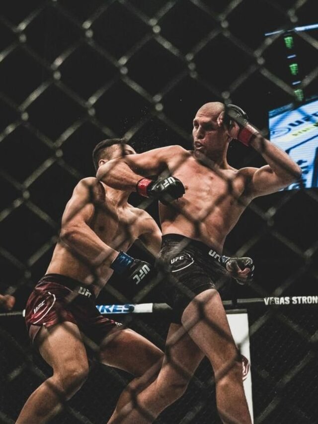 The 10 Richest MMA Fighters in the World - Damia Global Services ...