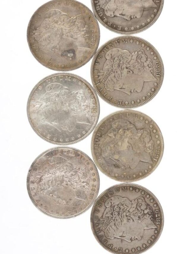 Unveiling the 15 Rarest Morgan Silver Dollars - Damia Global Services ...